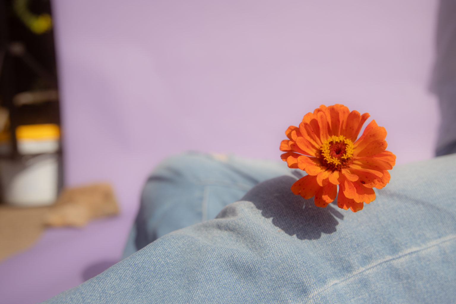 What to Expect During a Custom Brand Design Project | kuludesign.co